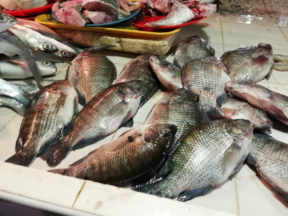 BFAR sells cheap fish in coops, donates to community pantries | PLN Media