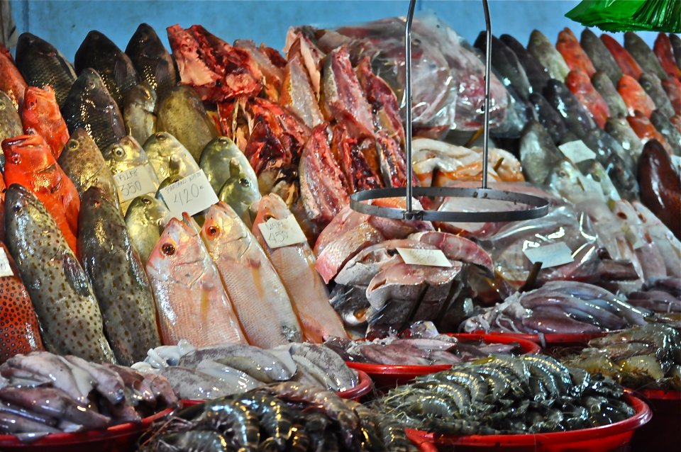 Fish is a good alternative to meat - group | PLN Media