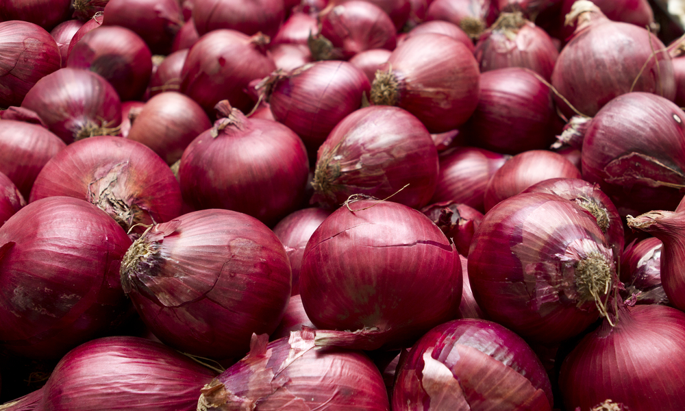 Onion farmers lament low prices allegedly due to imported onions | PLN ...
