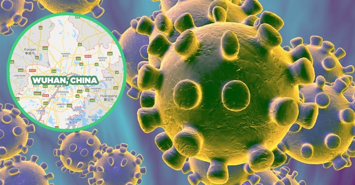 Update: Bats, snakes may have caused China coronavirus- genetic ...