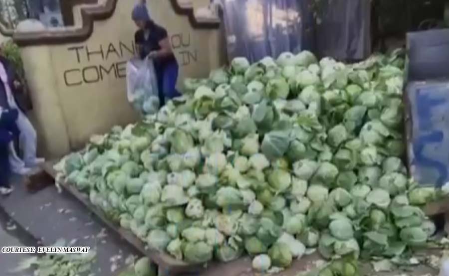 Vegetables pile up on the road in Benguet due to low market sales | PLN ...