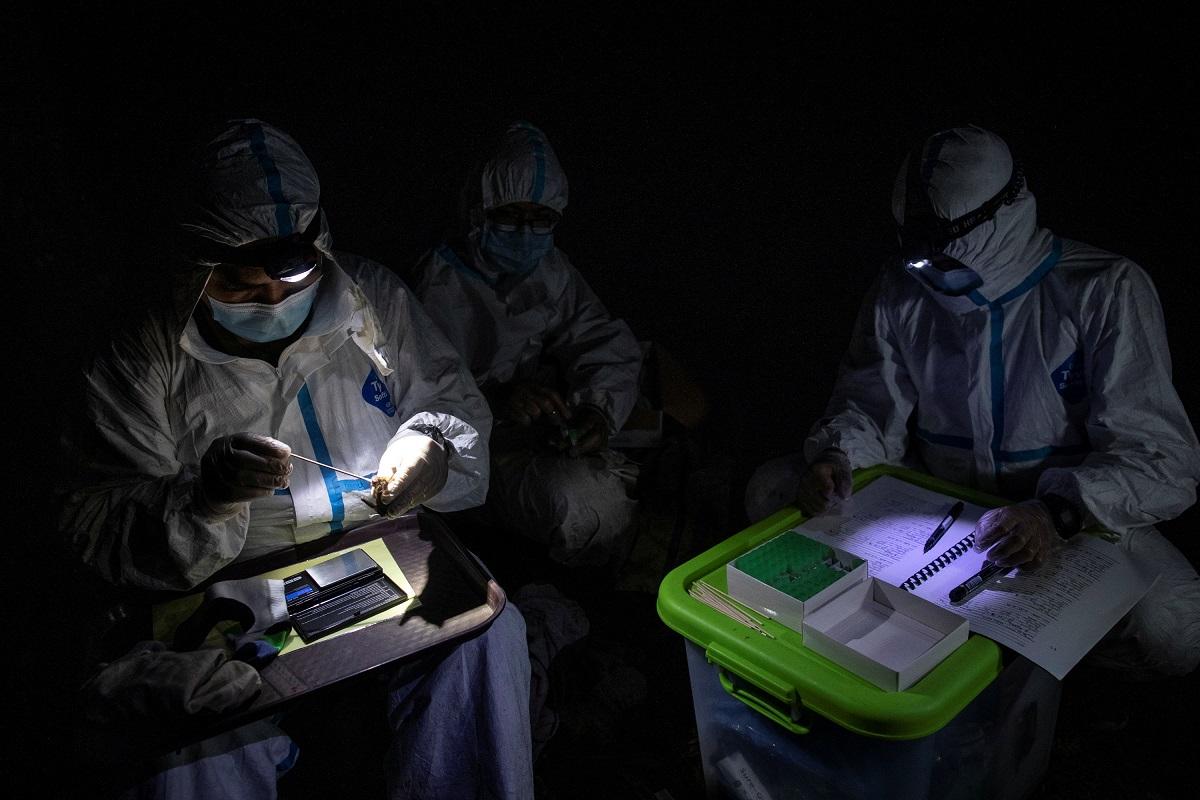 'Virus hunters' of UPLB aims to prevent another pandemic | PLN Media